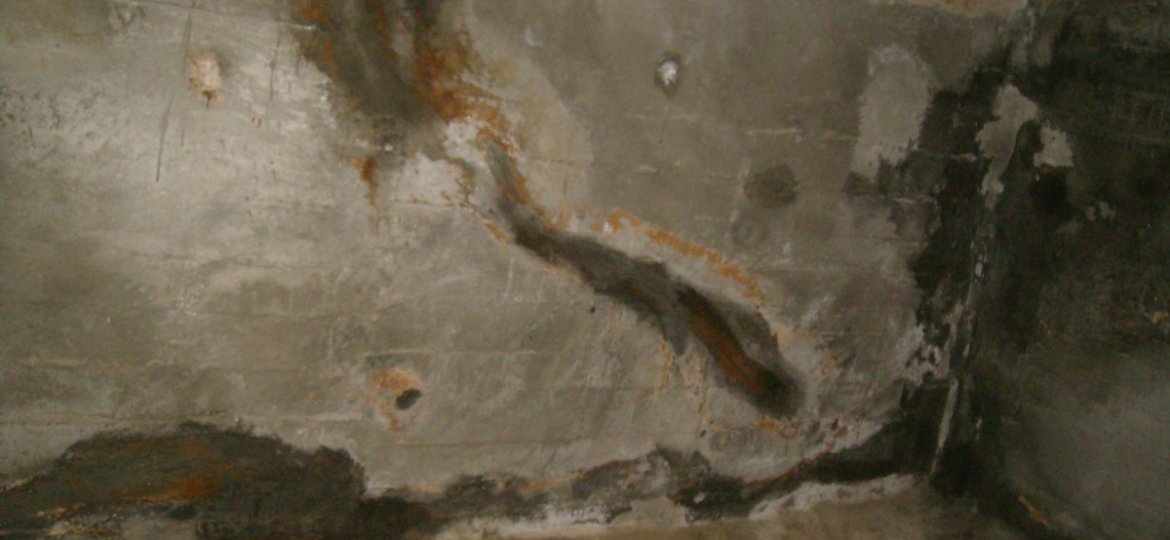 Basement Waterproofing Archives - Basement Waterproofing Philadelphia ...