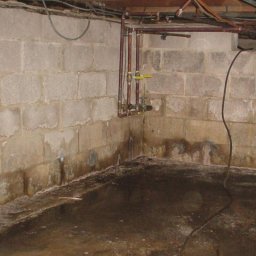 Uncovering the Major Benefits of Basement Waterproofing, Morganville ...