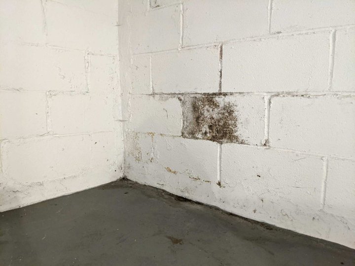 The Comprehensive Guide to Basement Waterproofing: Techniques and Best ...