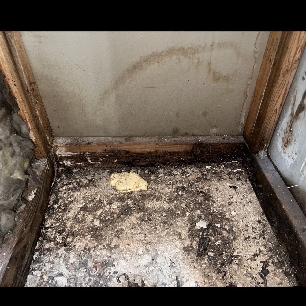 What's Lurking Below? Spotting the Early Signs of Basement Moisture ...