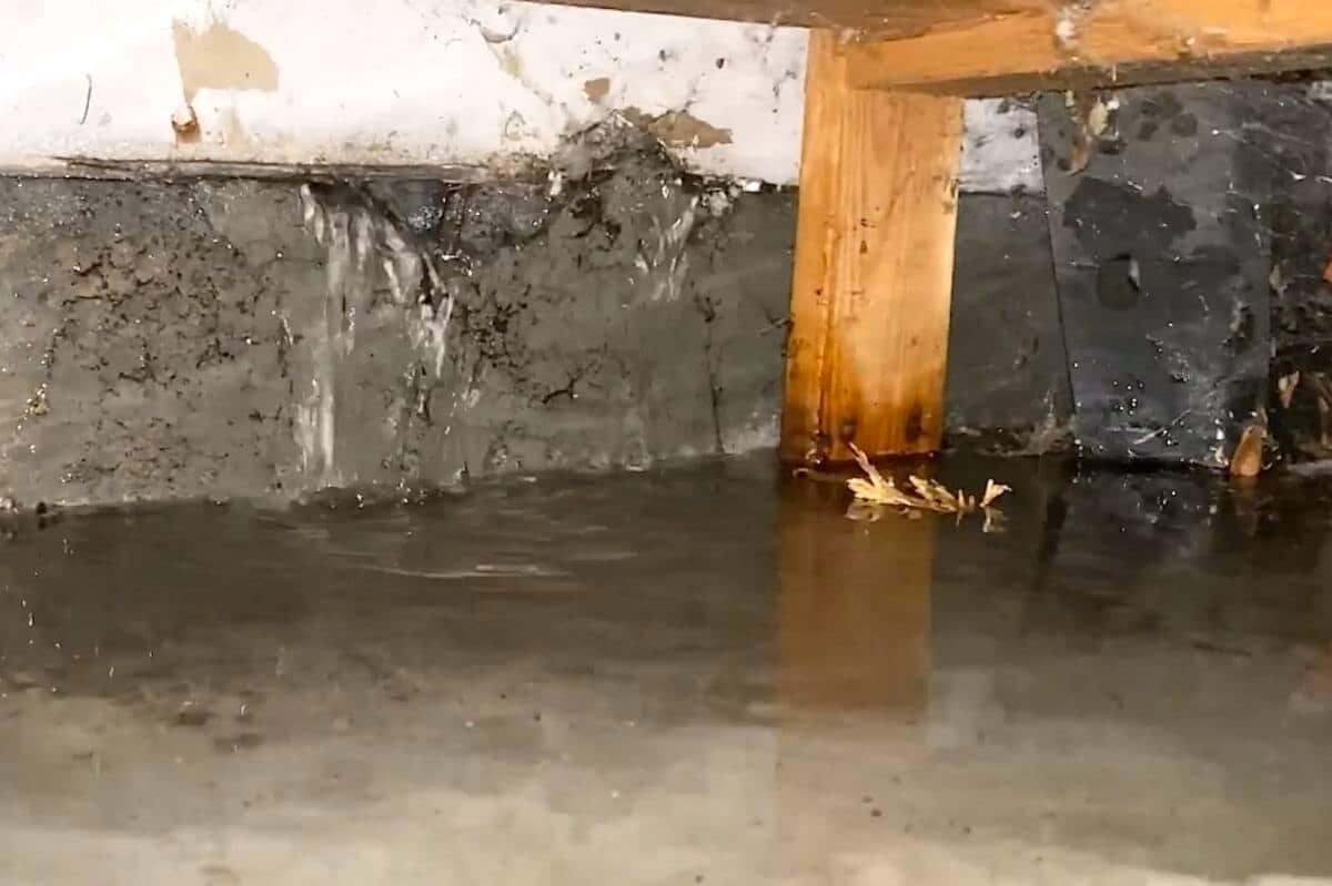 The Cost of Basement Waterproofing: What to Expect in 2025 | Basement ...