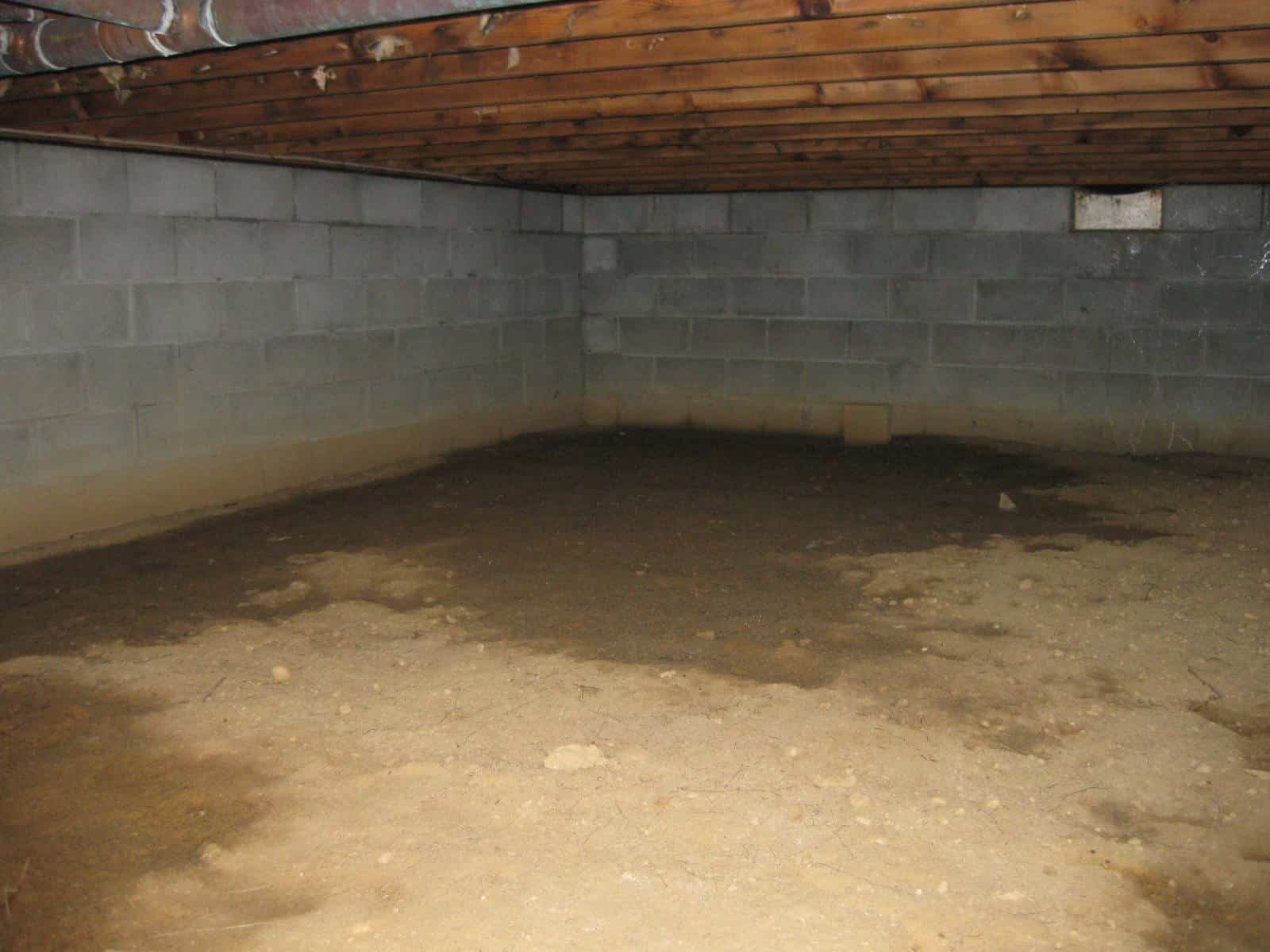 The Health Risks of a Damp Basement You Shouldn't Ignore | Basement ...
